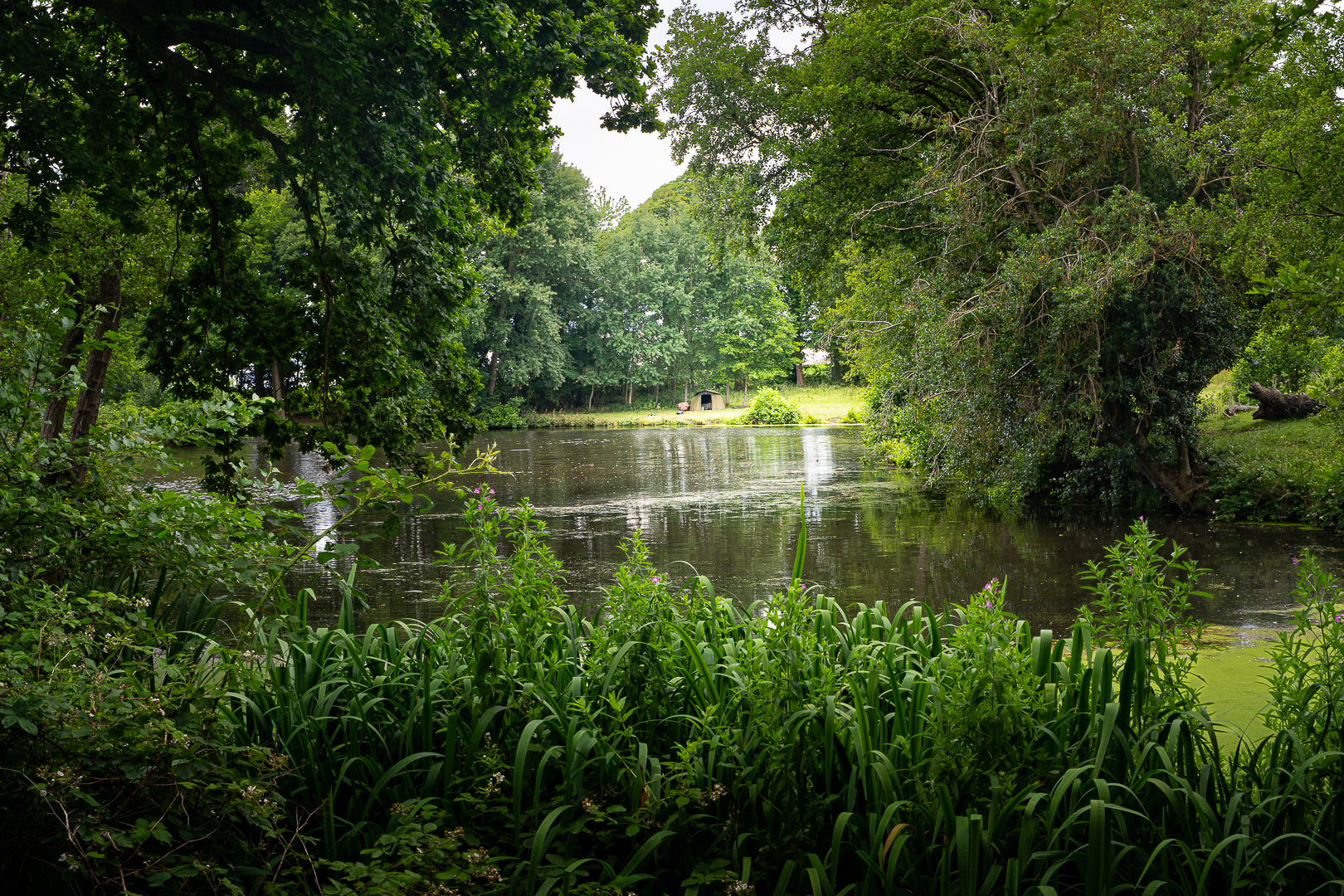 Still Waters - Lymm Angling Club