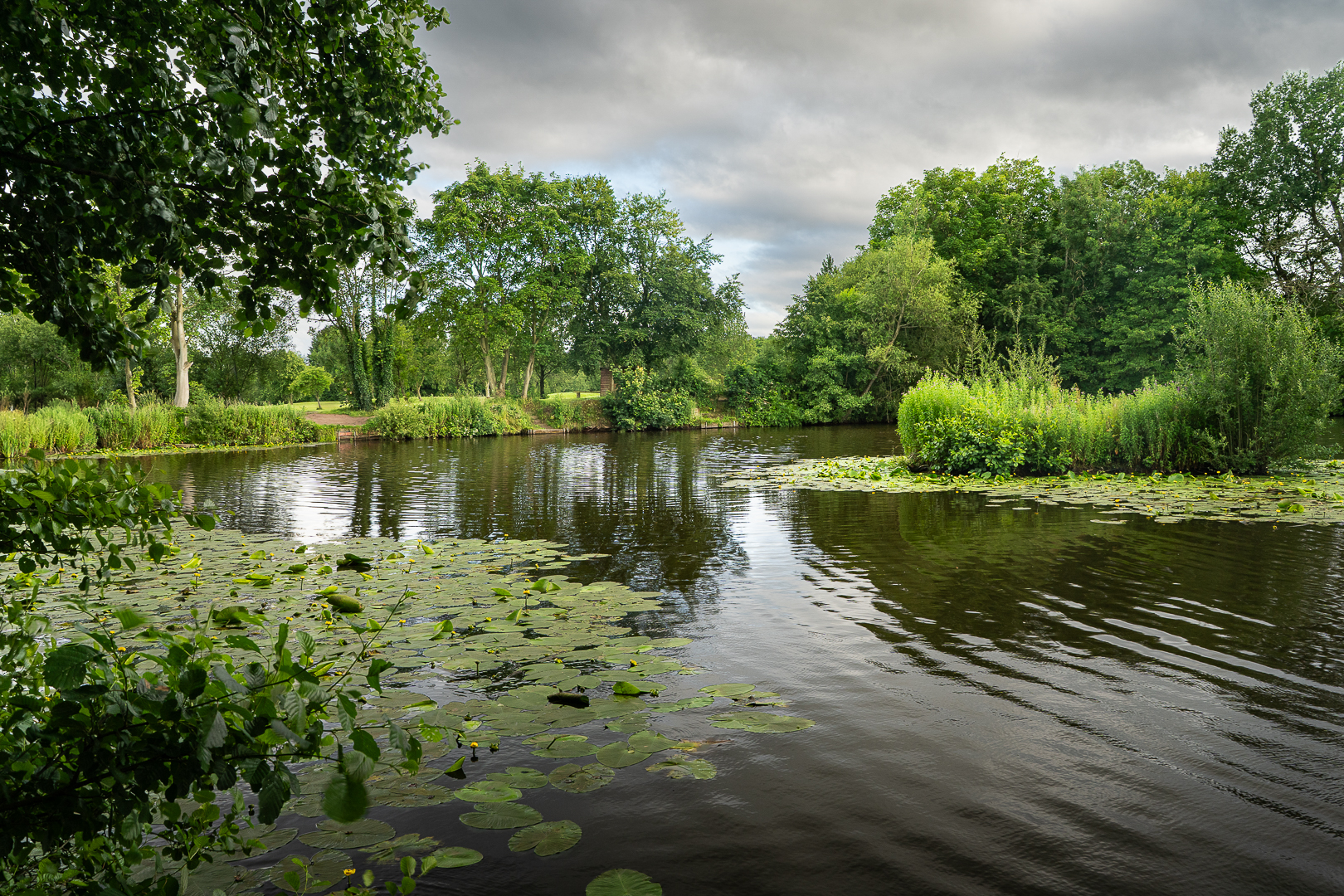 Still Waters - Lymm Angling Club
