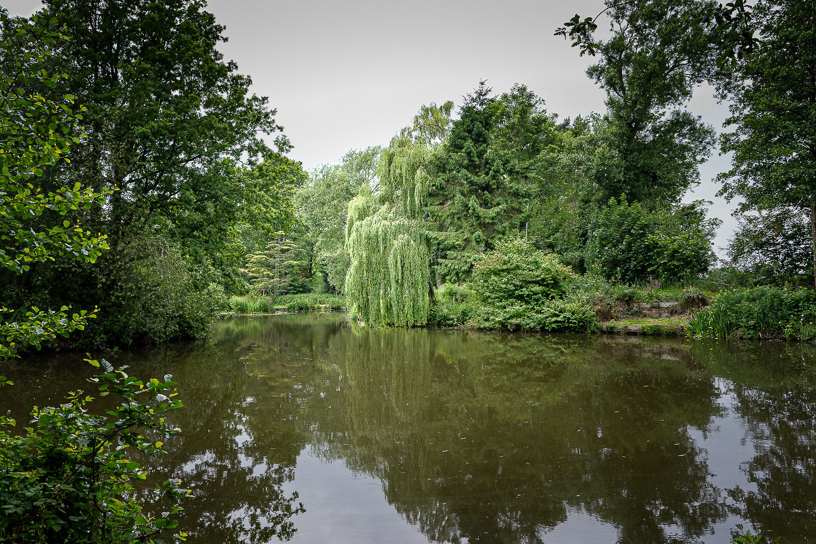 Still Waters - Lymm Angling Club