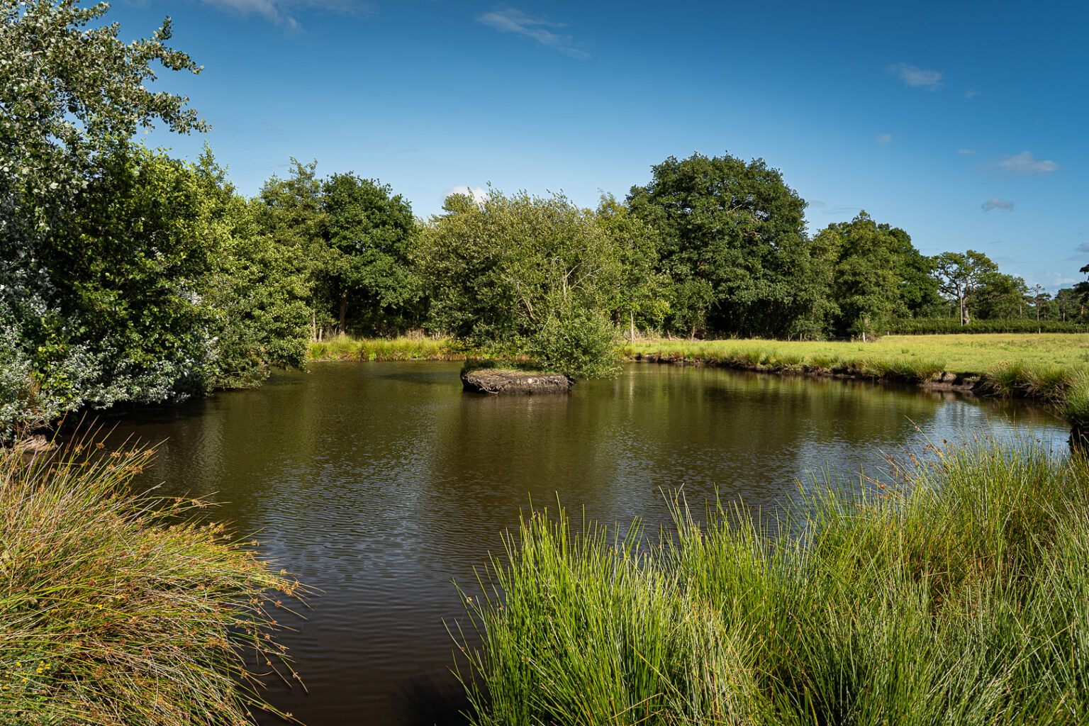 Still Waters - Lymm Angling Club