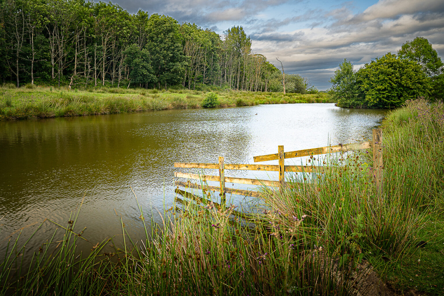Still Waters - Lymm Angling Club