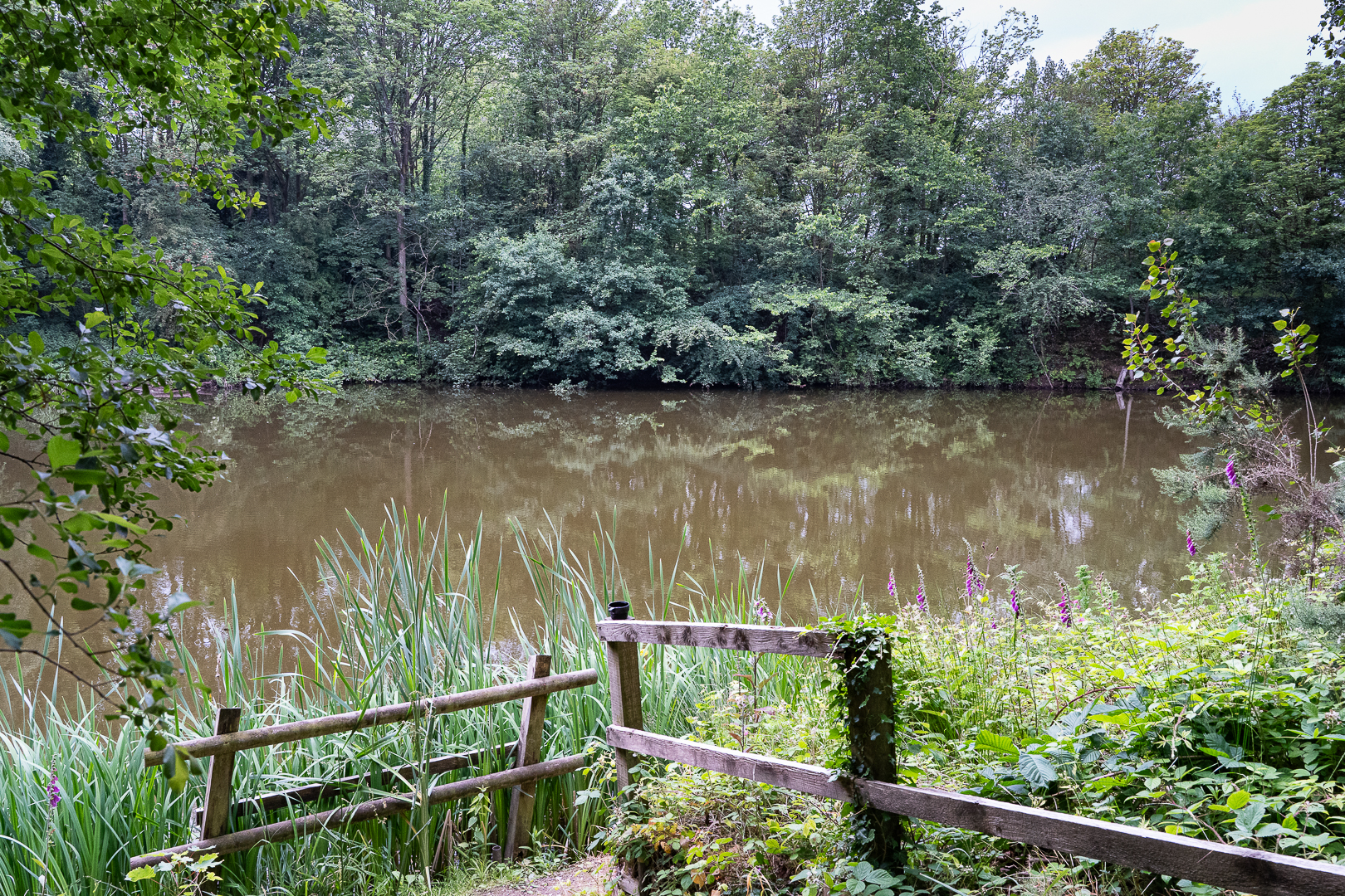 Still Waters - Lymm Angling Club