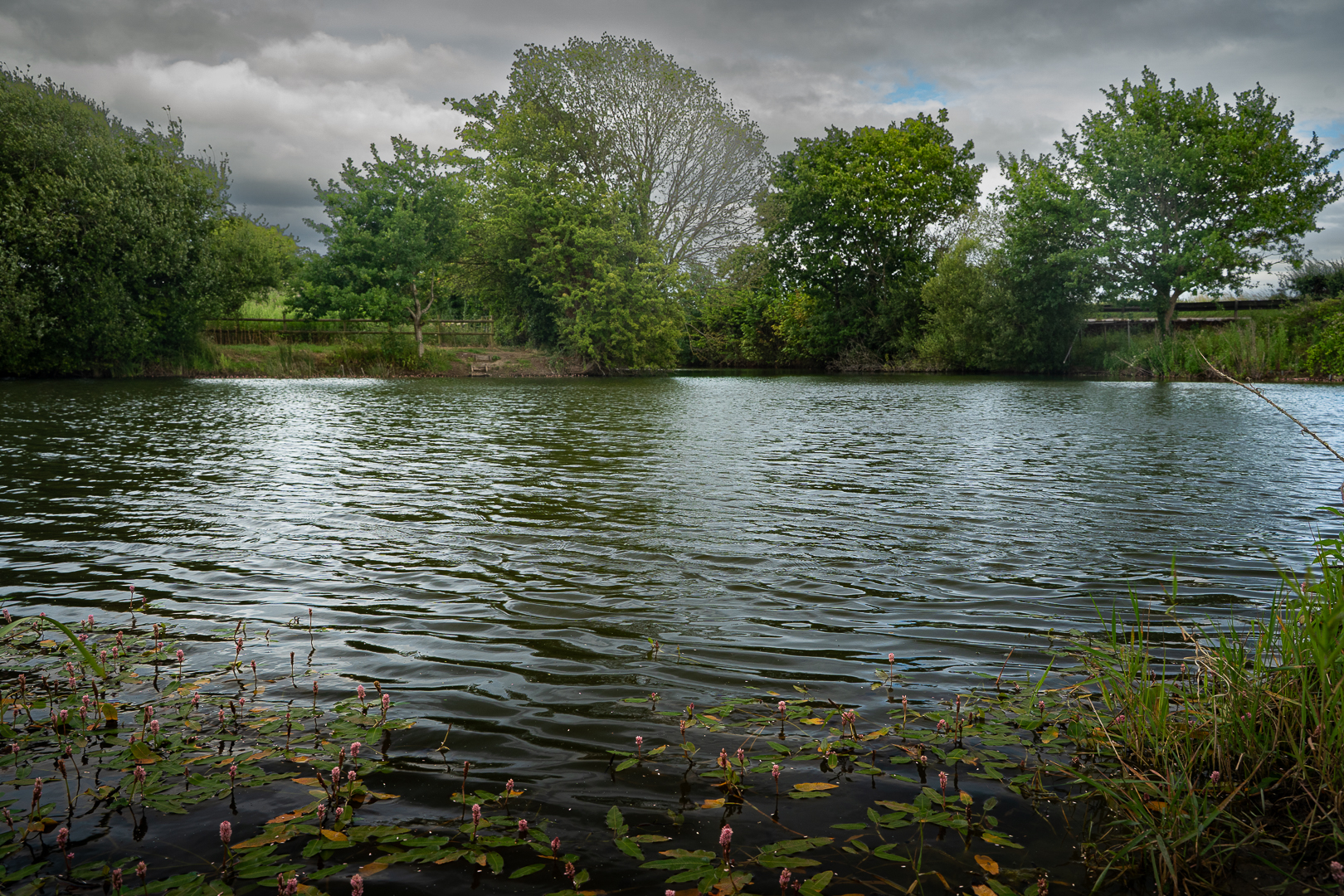 Still Waters - Lymm Angling Club